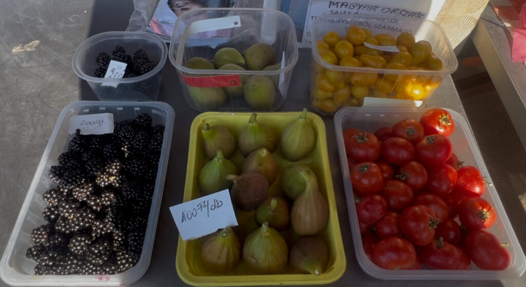 Gömölye, nyári alma, cukkini… kedves árusokkal beszélgettünk a ...