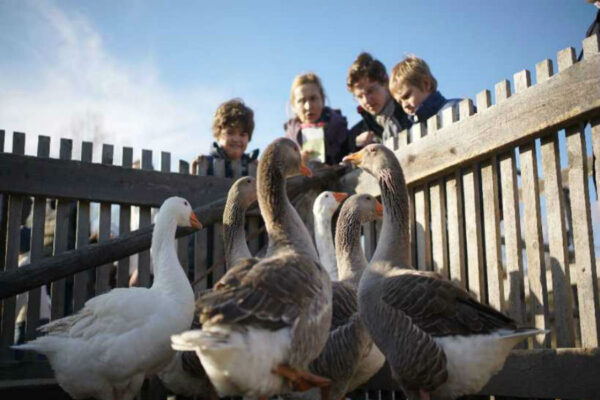 Szent Márton-nap lesz az Ópusztaszeri Nemzeti Történeti Emlékparkban – Cs3.hu